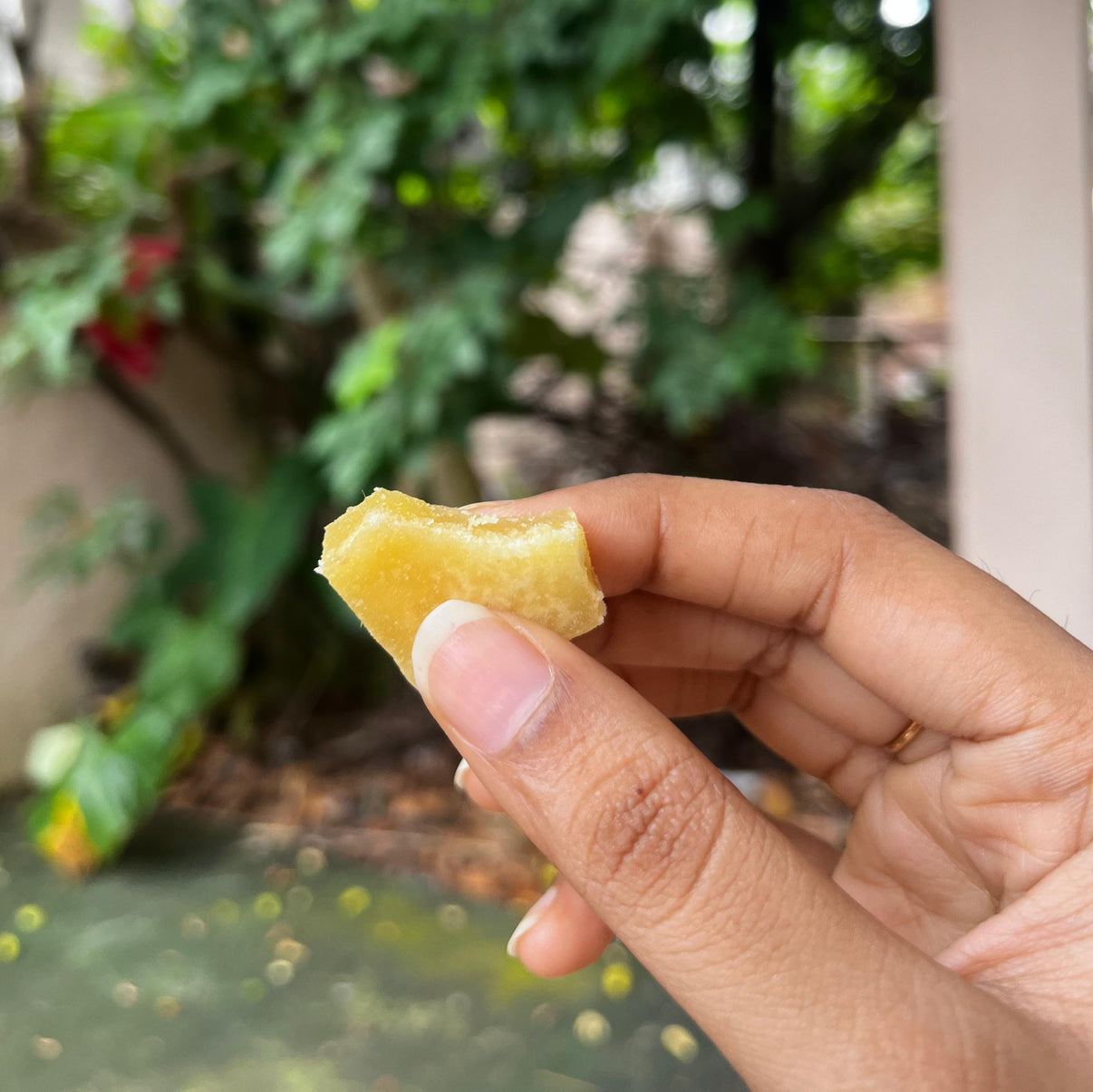 Homemade Ginger Candy (Inji Mittai) – Spicy, Sweet & Healthy – Tocco
